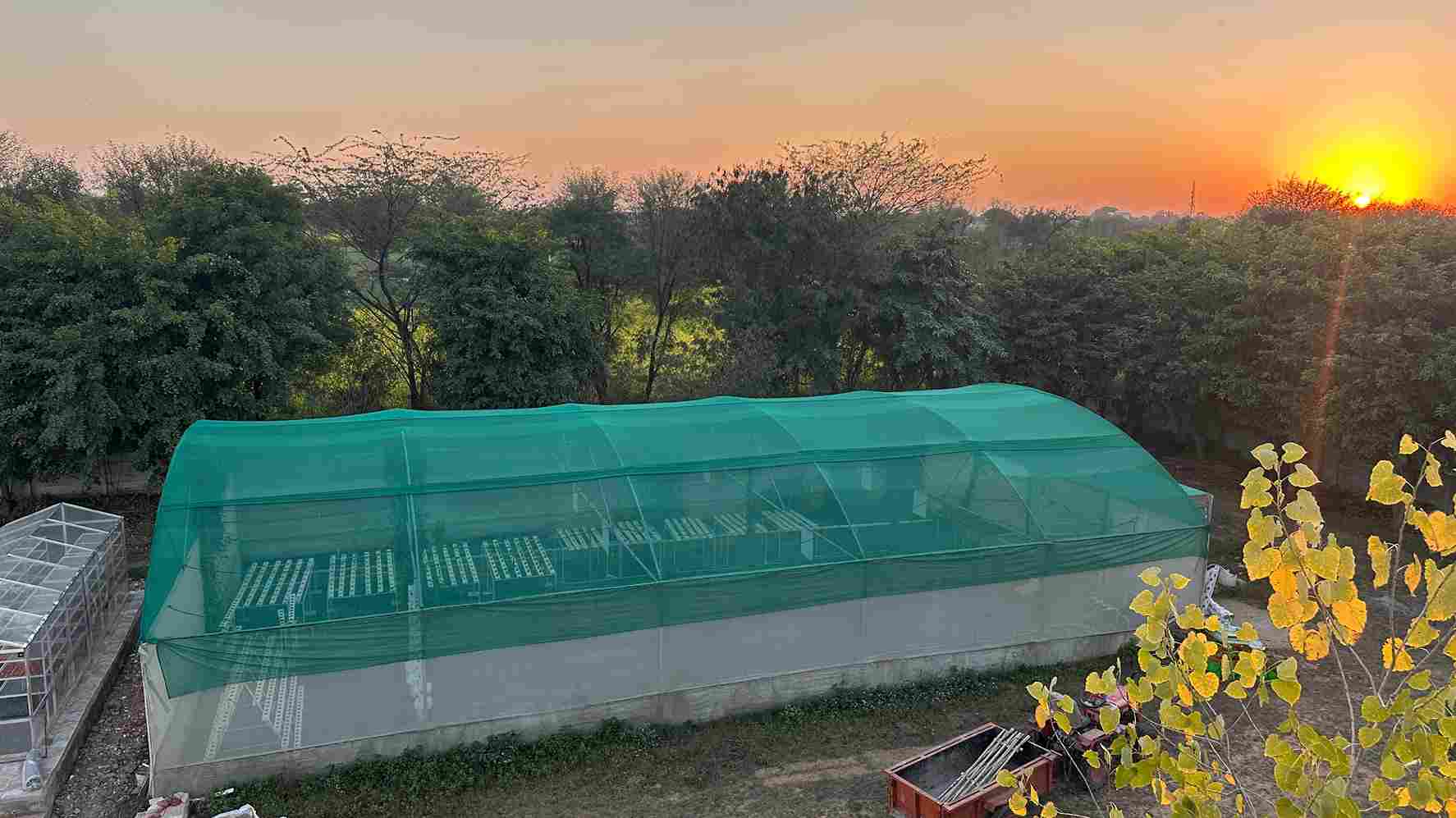 Hydroponic Farming - Offgrid Rajasthan